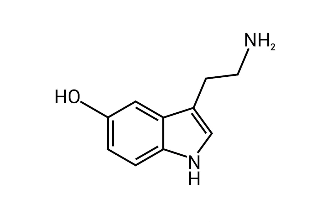 Serotonine - wat doet het in het lichaam? | wibnet.nl