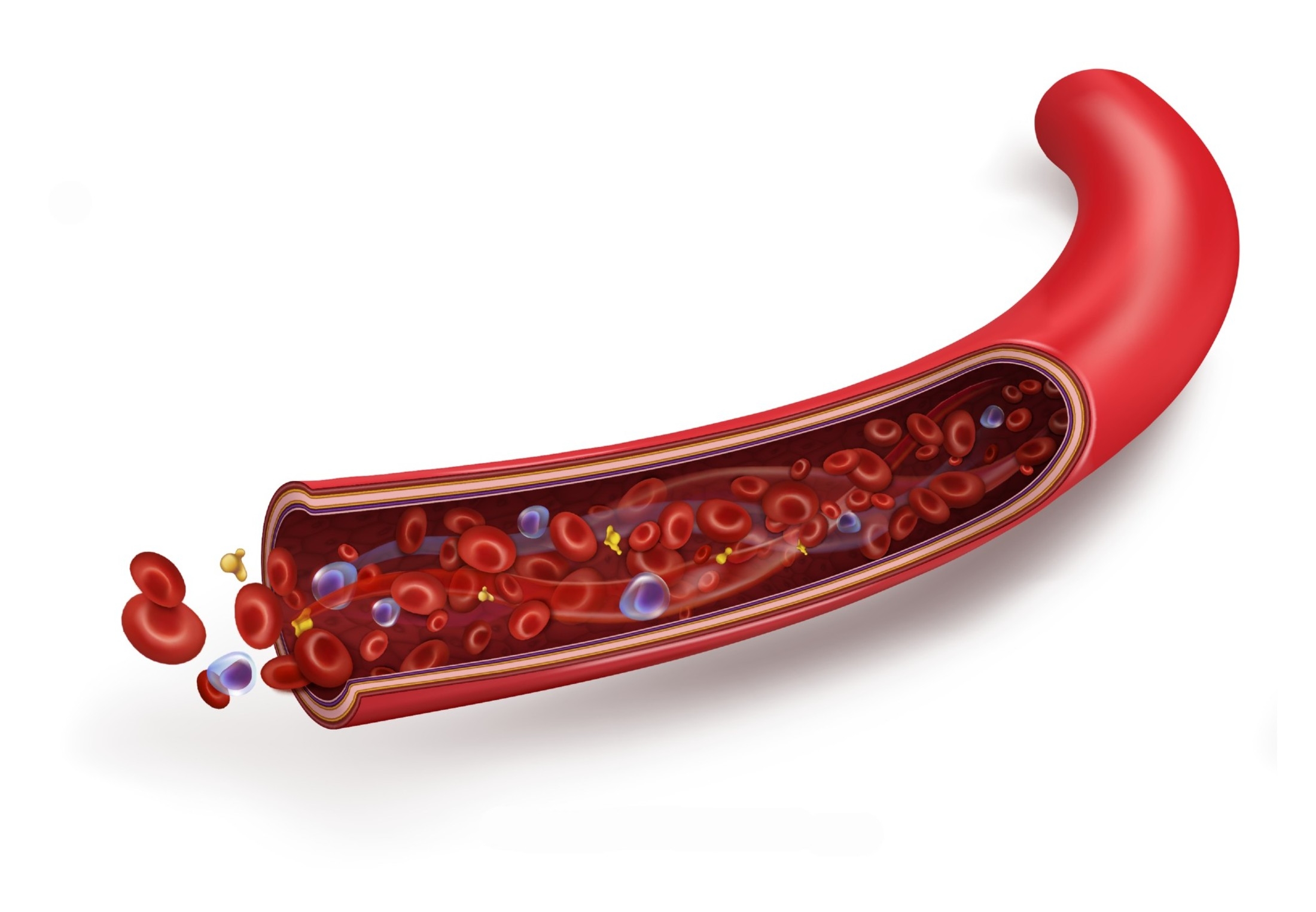 Kolesteroli - Tutkijan neuvot kolesterolin alentamiseen | tieku.fi