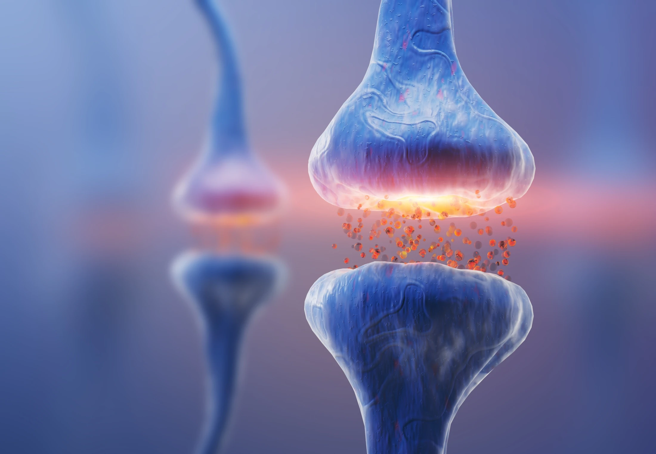 Muisti – Näin muistisi toimii | tieku.fi