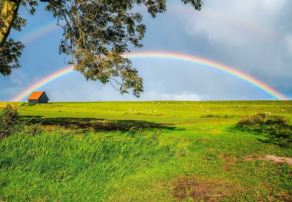 Regnbuer - Her er alt, du skal vide om regnbuer | illvid.dk