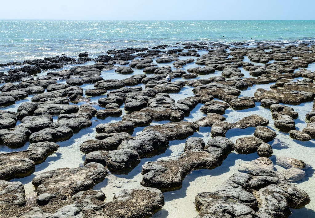 Hvor kom ilten fra? | illvid.dk