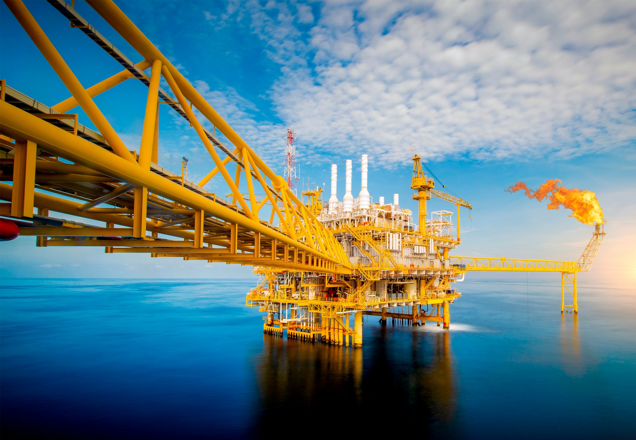 Hur snabbt bildas olja? | illvet.se