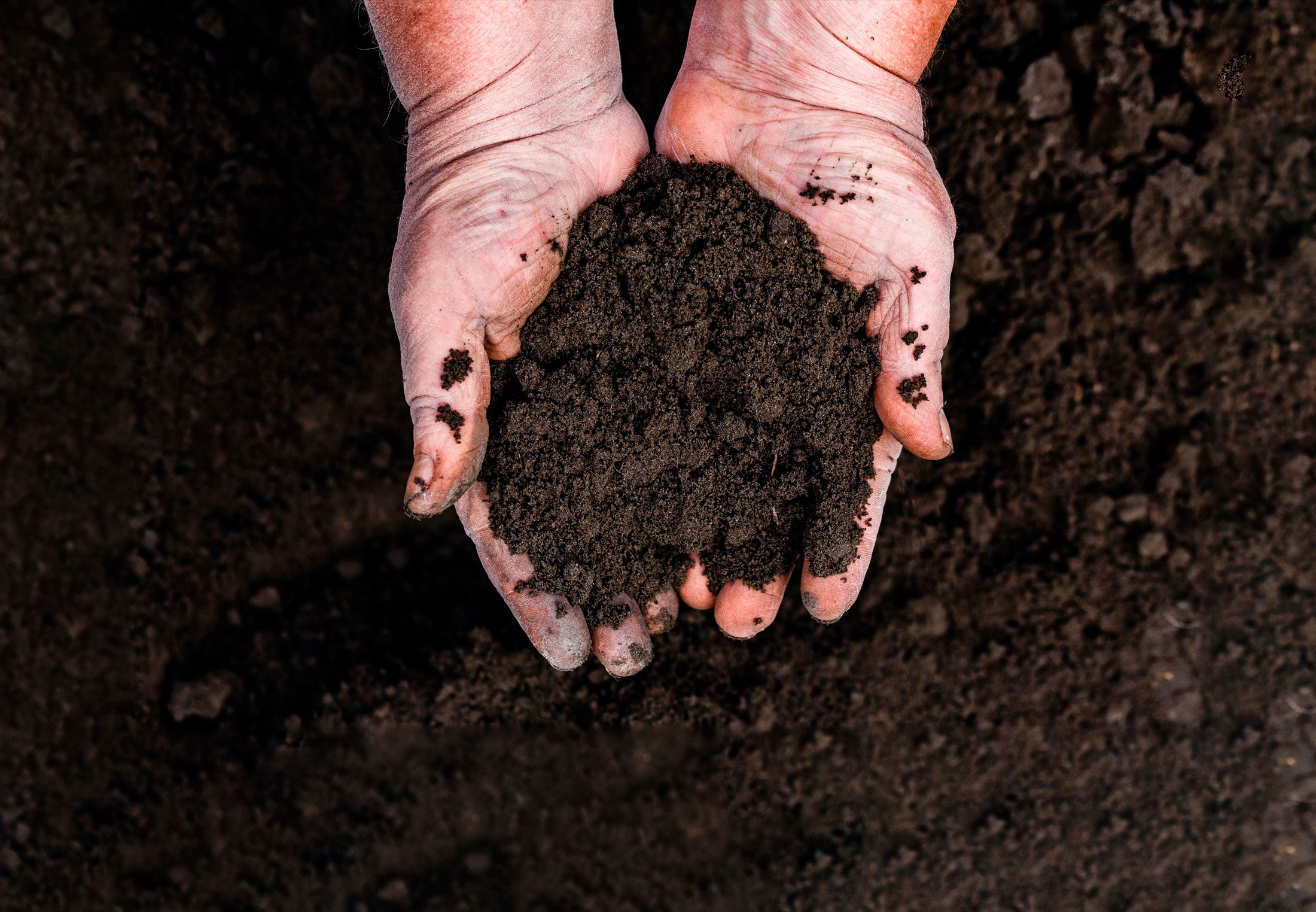 Vad består jord av? | illvet.se