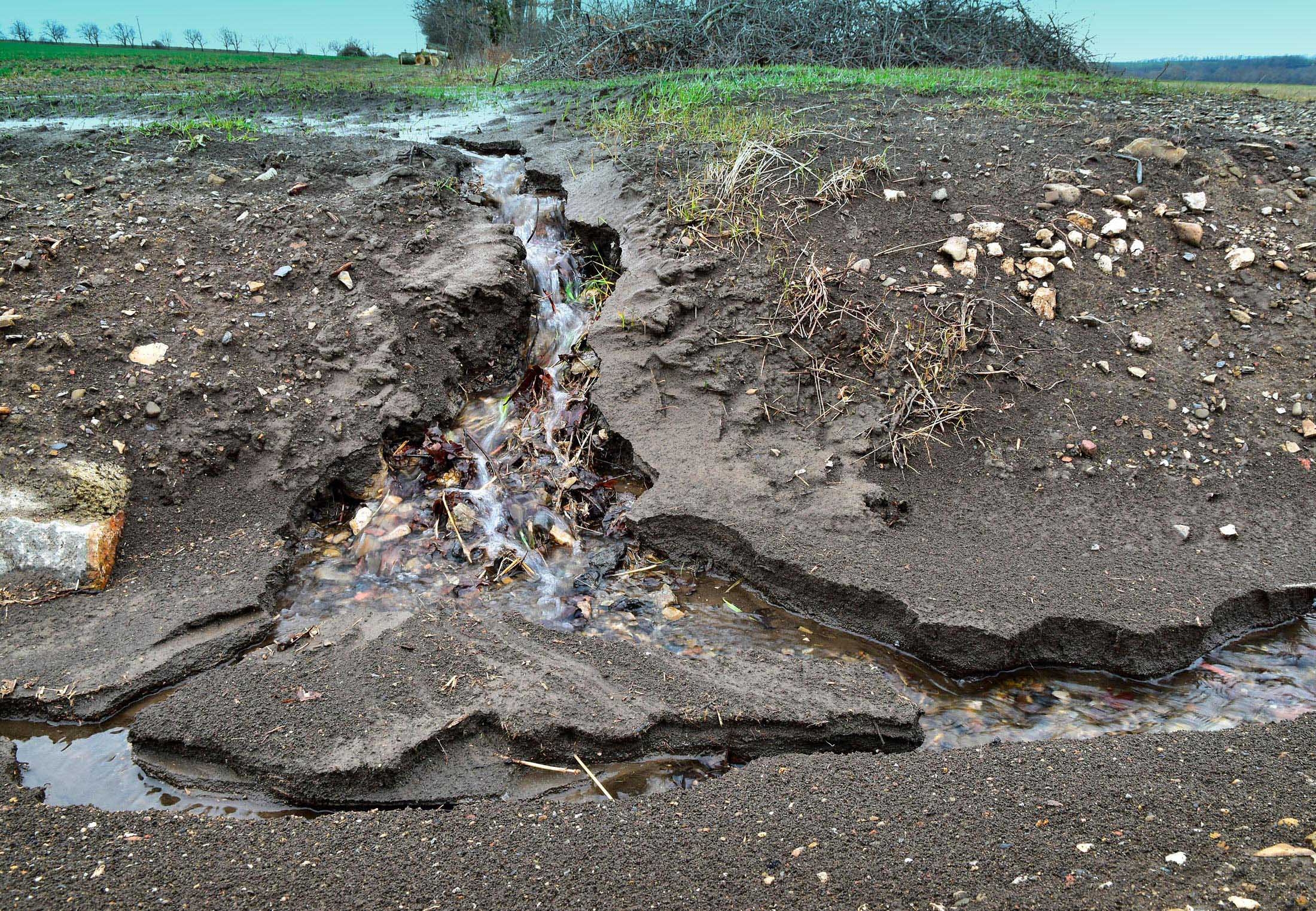Vad består jord av? | illvet.se