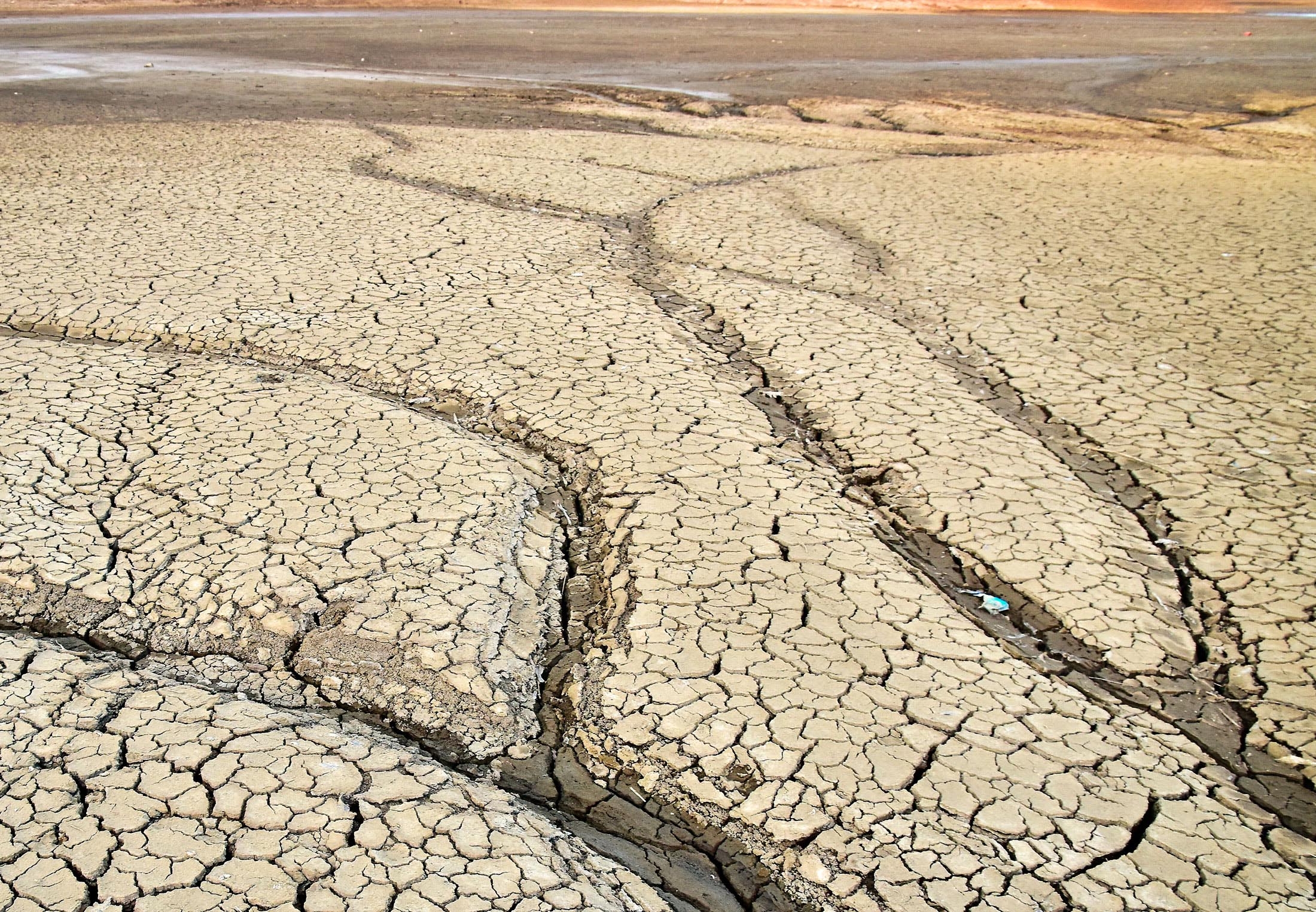 Vad består jord av? | illvet.se