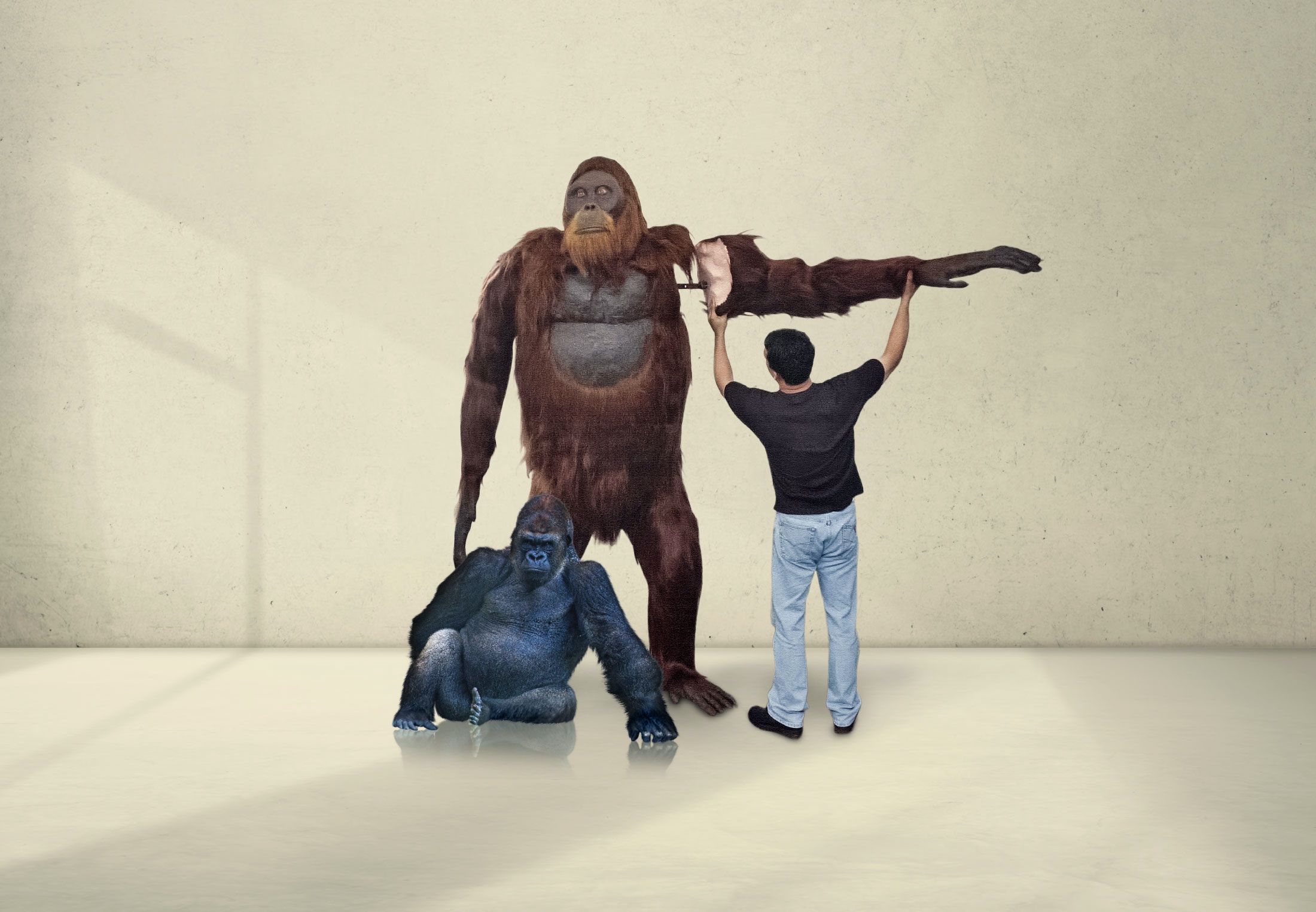 Topp 5: Hvor store kan menneskeaper bli? | illvit.no