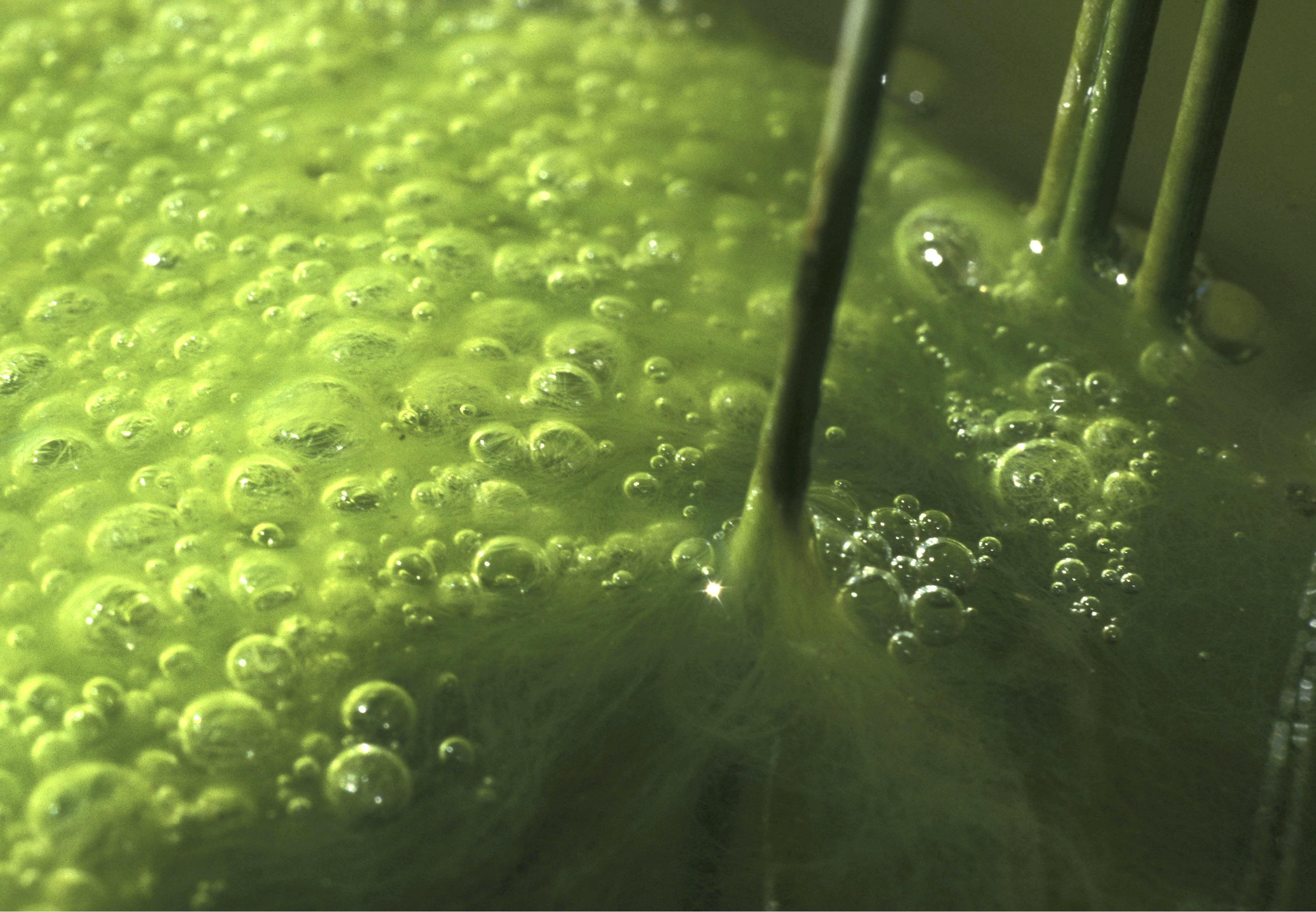 Syre: Vad är syre – och kan du få för mycket syre? | illvet.se