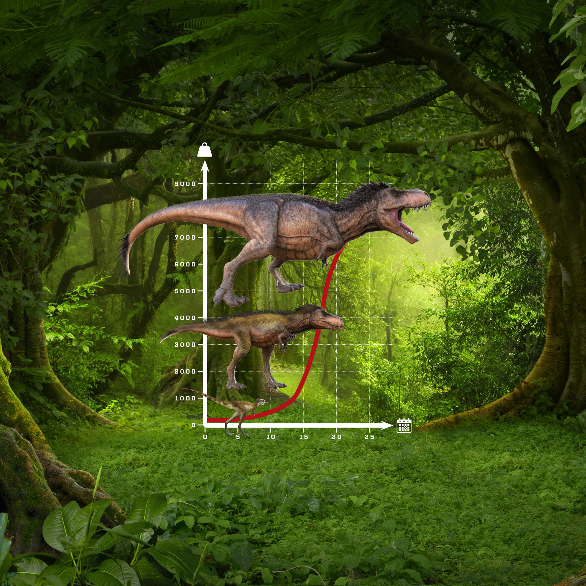 T. rex' unger var en meter lange | illvid.dk