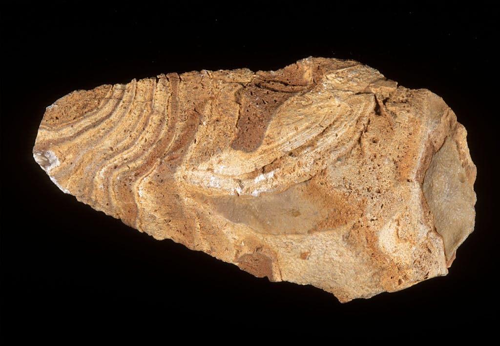 Mitä mielikuvitus on? | tieku.fi