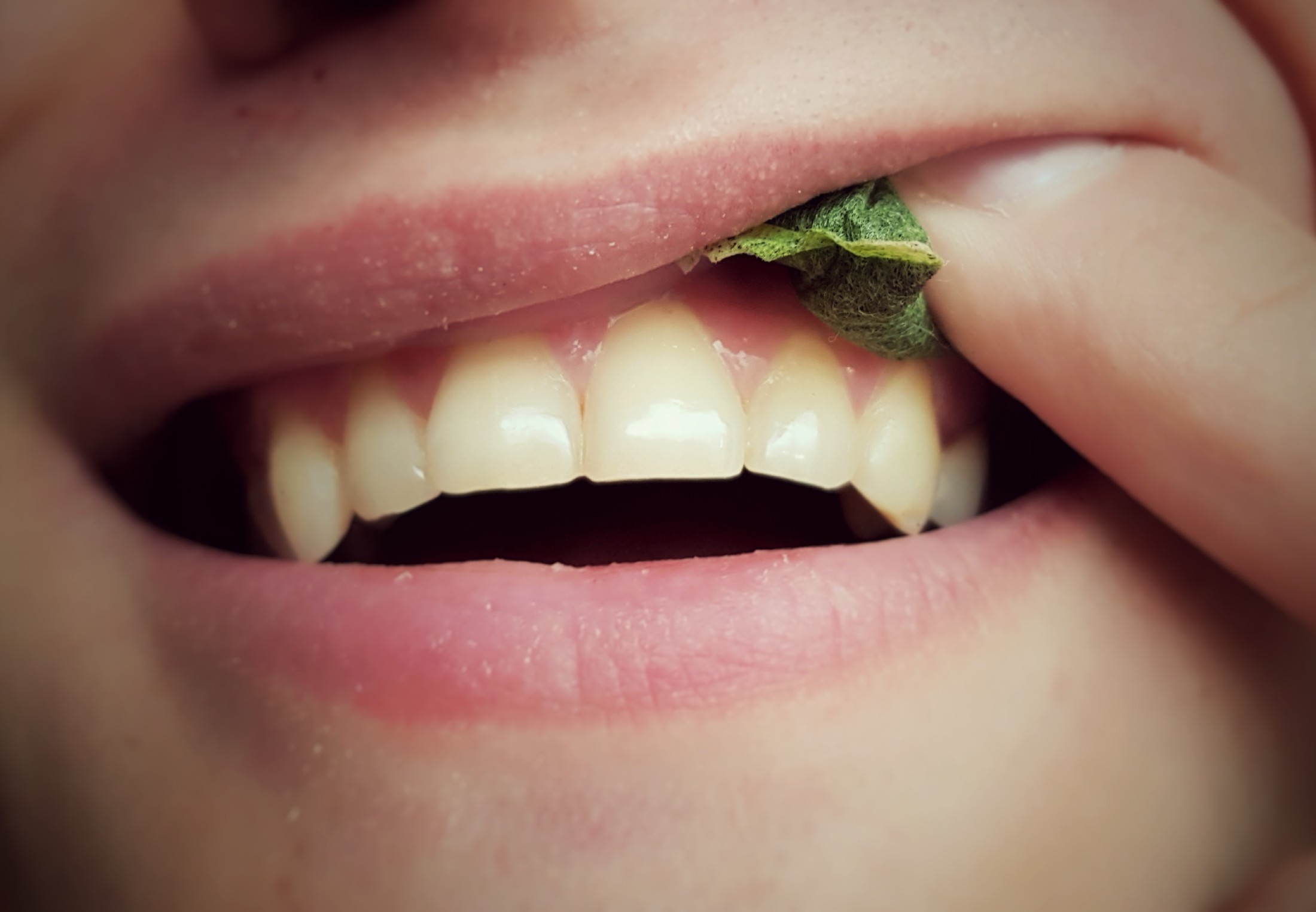 Wat is snus? | wibnet.nl