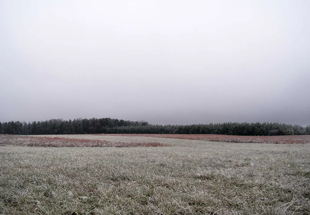Hur bildas moln? Och hur påverkar de temperaturen? | illvet.se