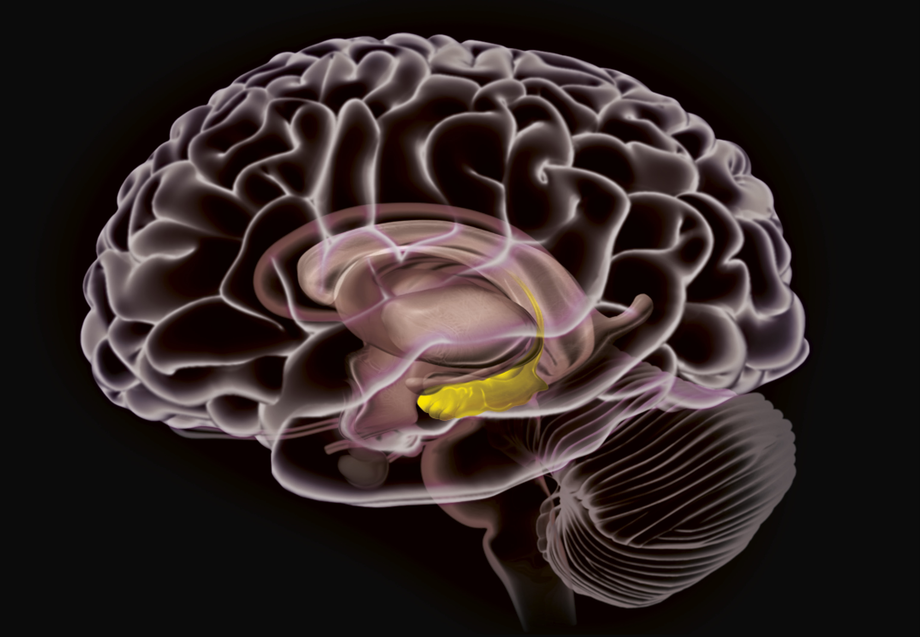 Harvard researcher Yuxi Liu has three specific recommendations that can ...