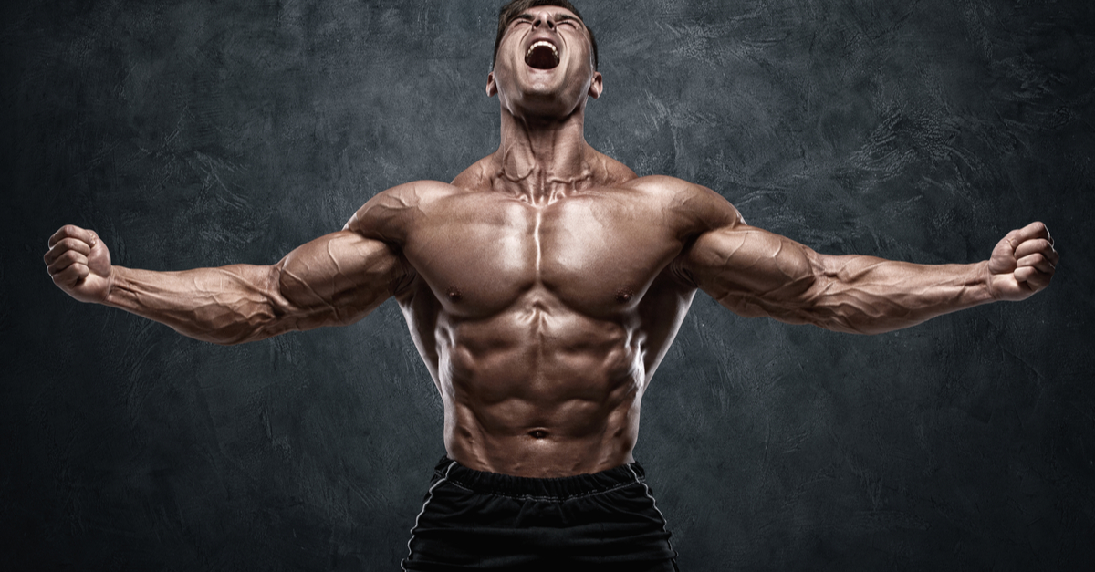 Hvad er kroppens stærkeste muskel? | illvid.dk