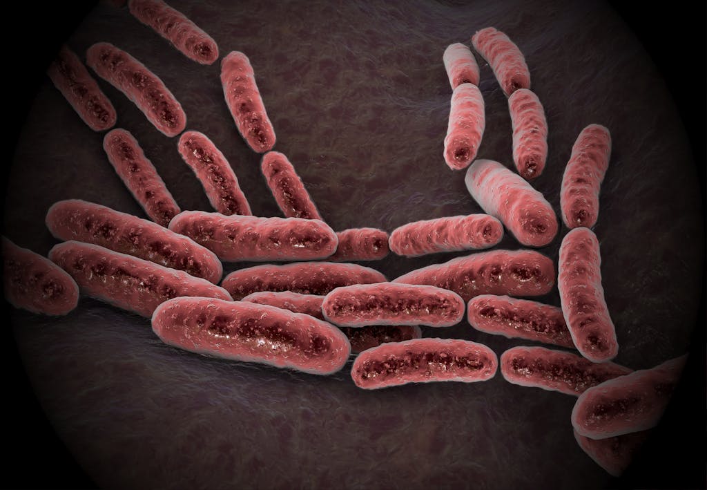 Enäggstvillingar är inte identiska | illvet.se