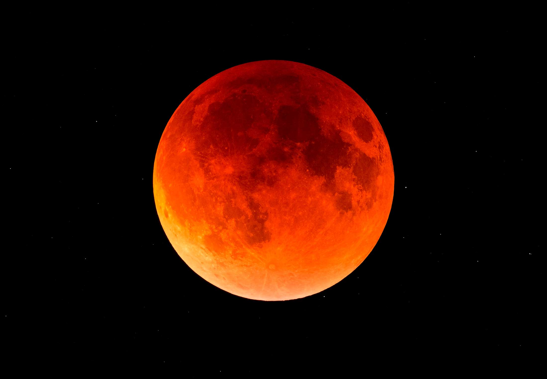 De maan – Alles over de trouwe metgezel van de aarde | wibnet.nl