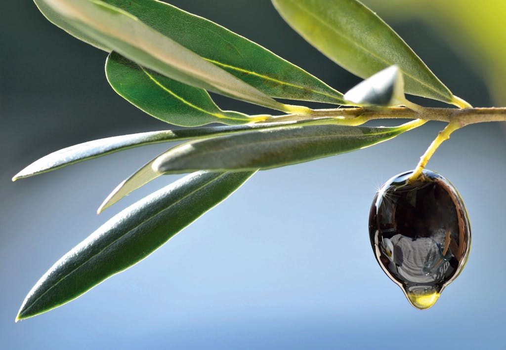 Sådan bekriger du bedst vinterdepressionen | illvid.dk