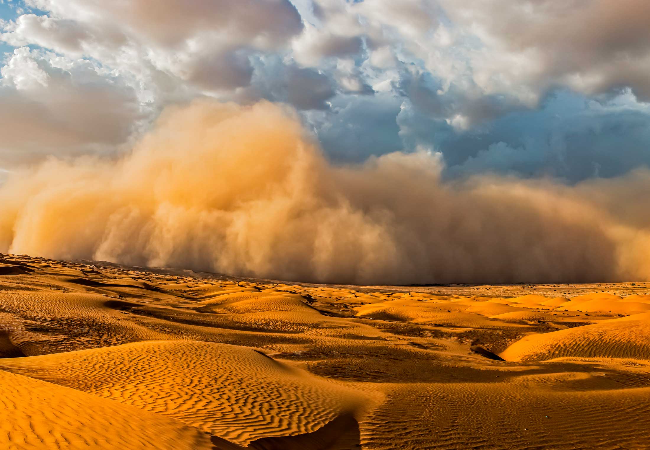 De Sahara is ’s werelds grootste woestijn – en groeit | wibnet.nl
