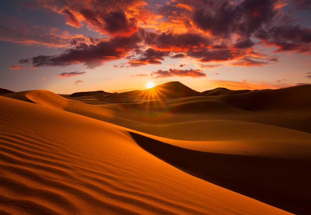 Wetenschap in Beeld – ontdek de wereld van de wetenschap | wibnet.nl