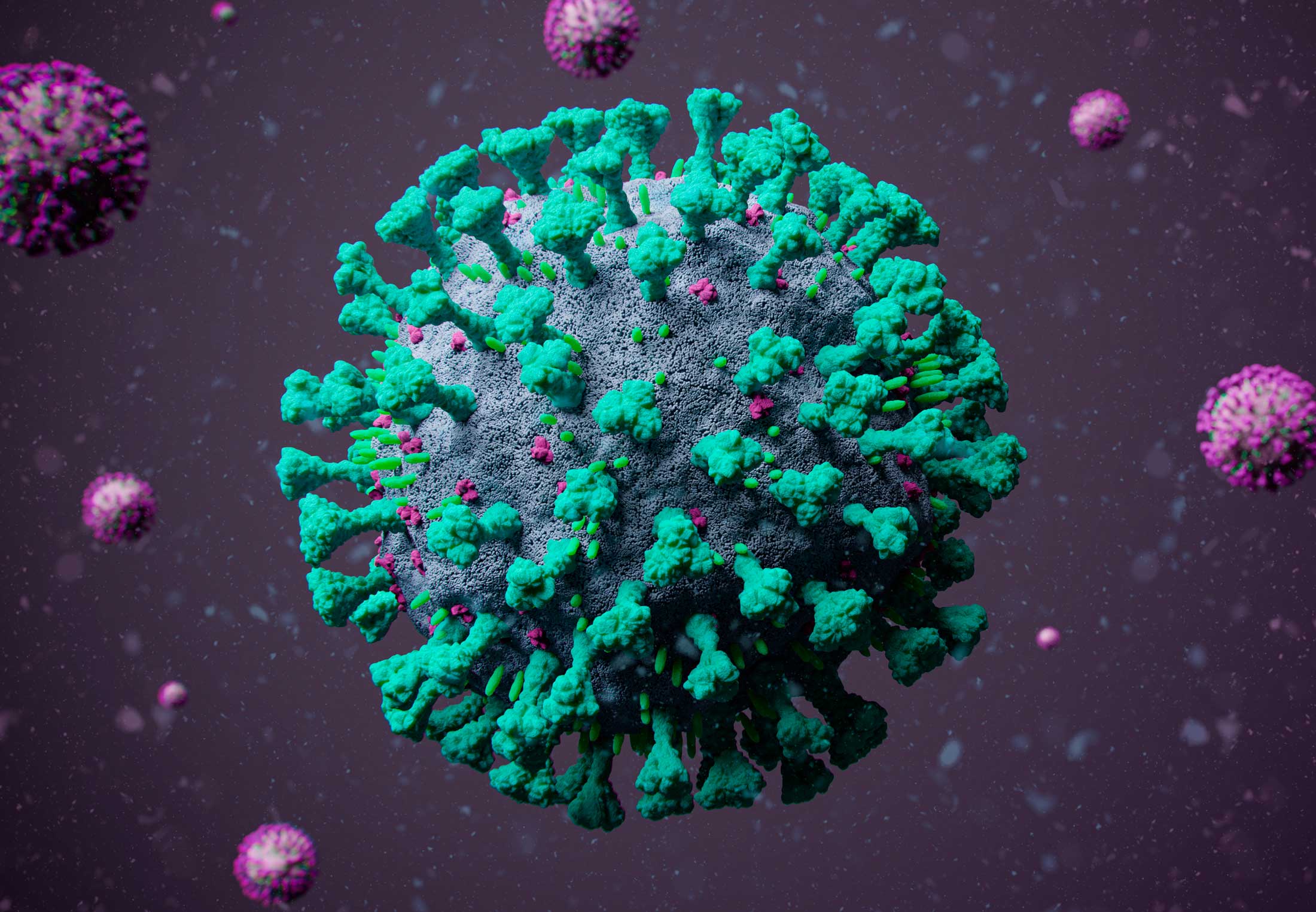 Omikron: Symptomer, smitte og alle undervariantene | illvit.no