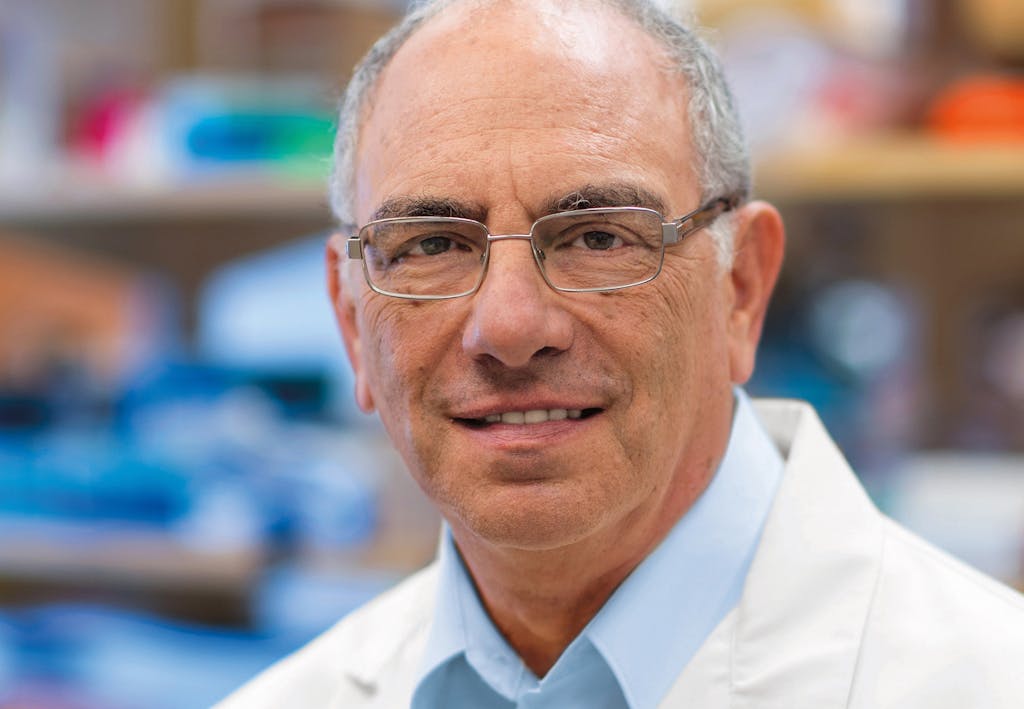 Een pufje in de neus voorkomt alzheimer | wibnet.nl