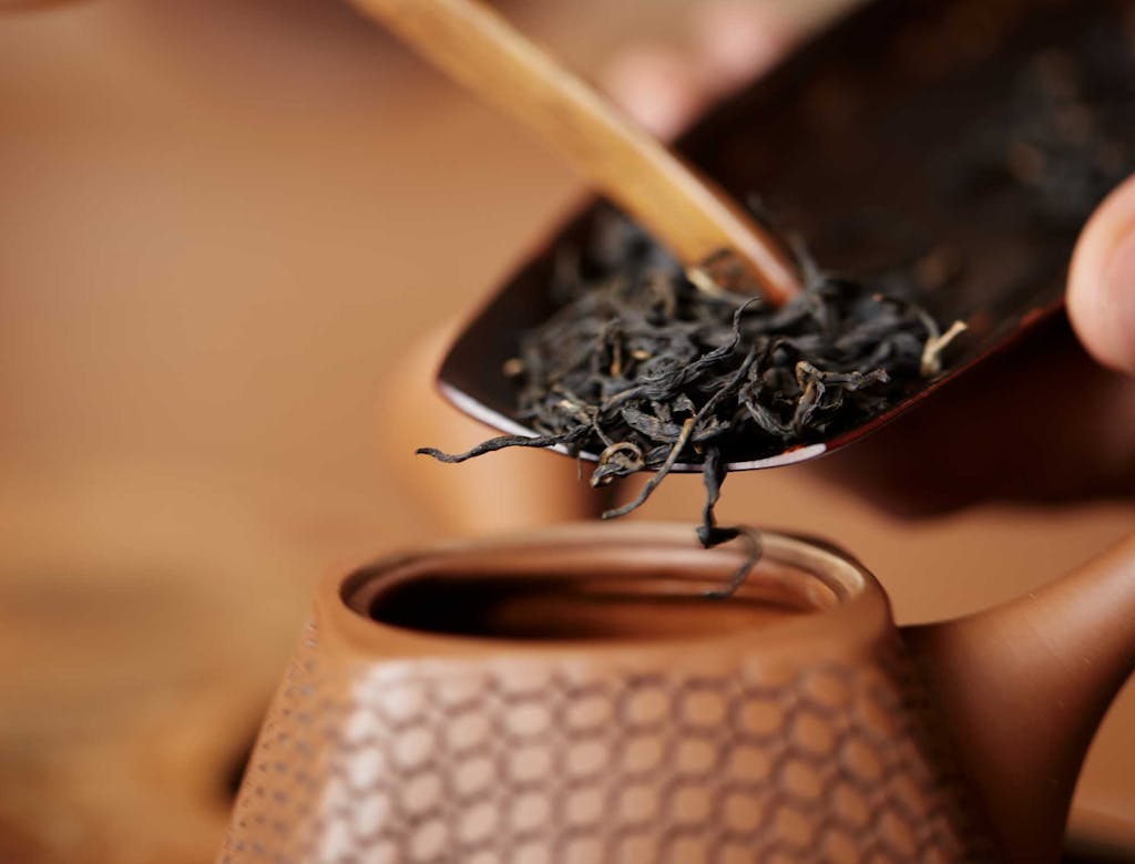 Hur mycket koffein i kaffe? | illvet.se