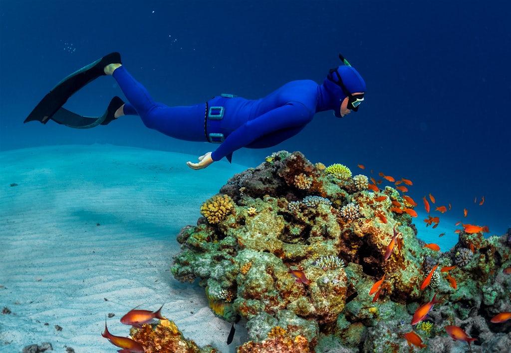 Vi puster for raskt | illvit.no