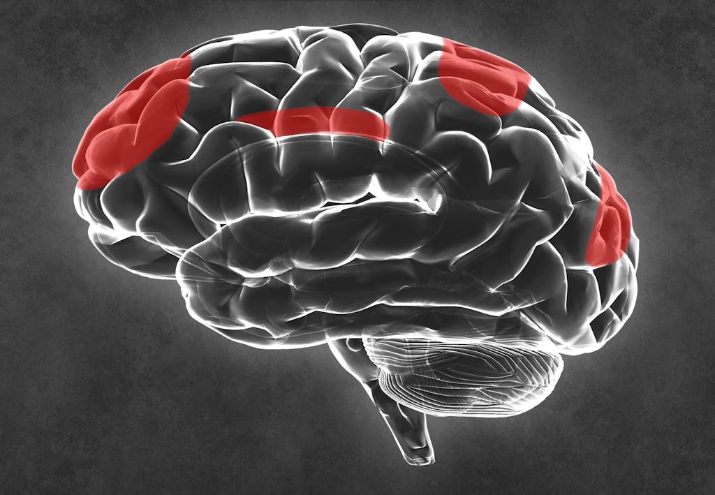 Barns øyne kan avsløre om de har ADHD eller autisme | illvit.no