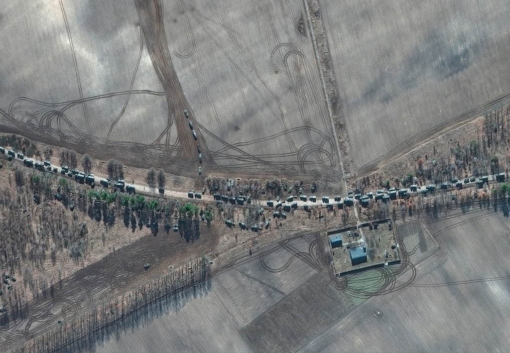 Verdens raskeste dyr – Her er topp 10 | illvit.no