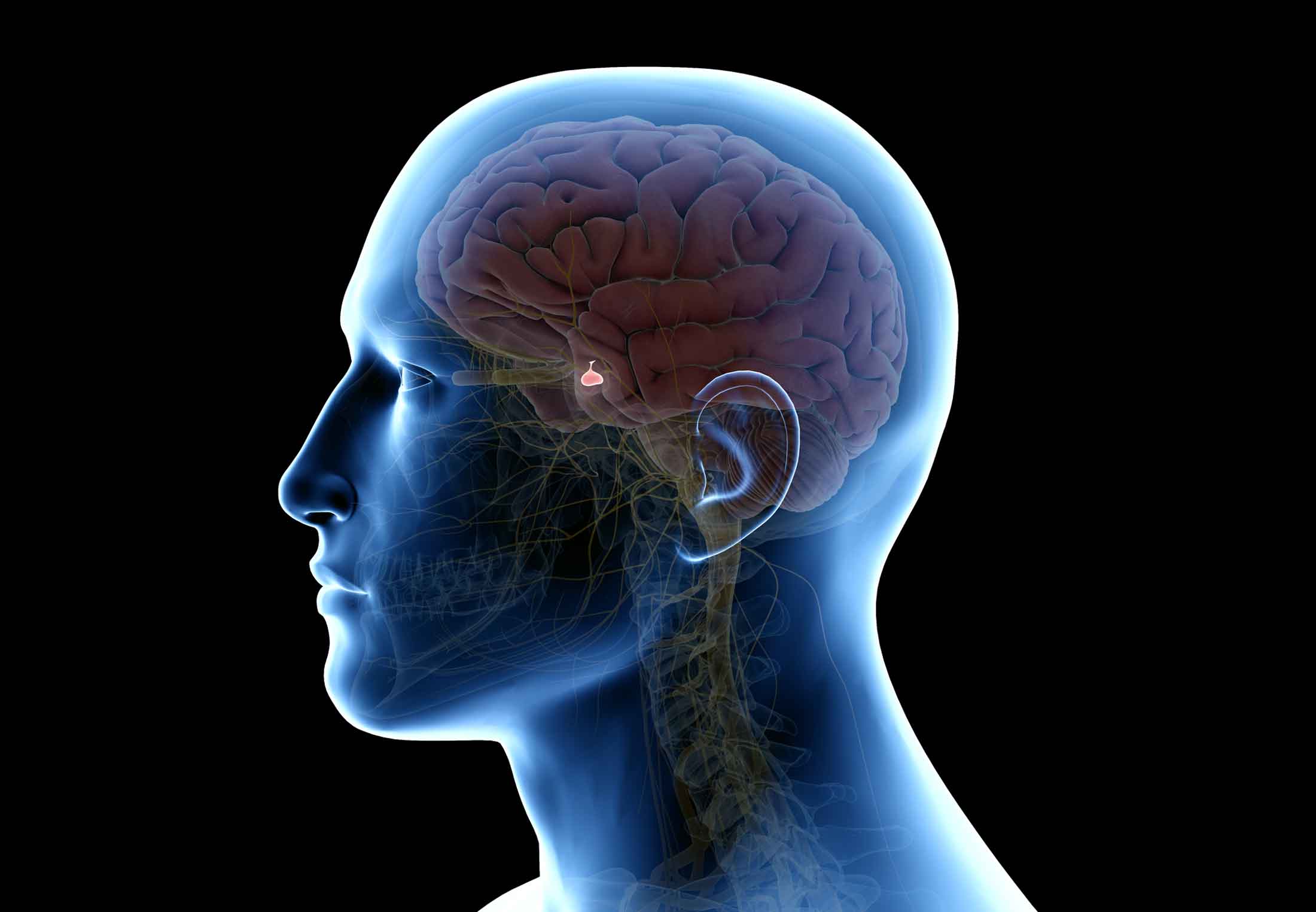 Wie is de langste man ter wereld 2025? | wibnet.nl