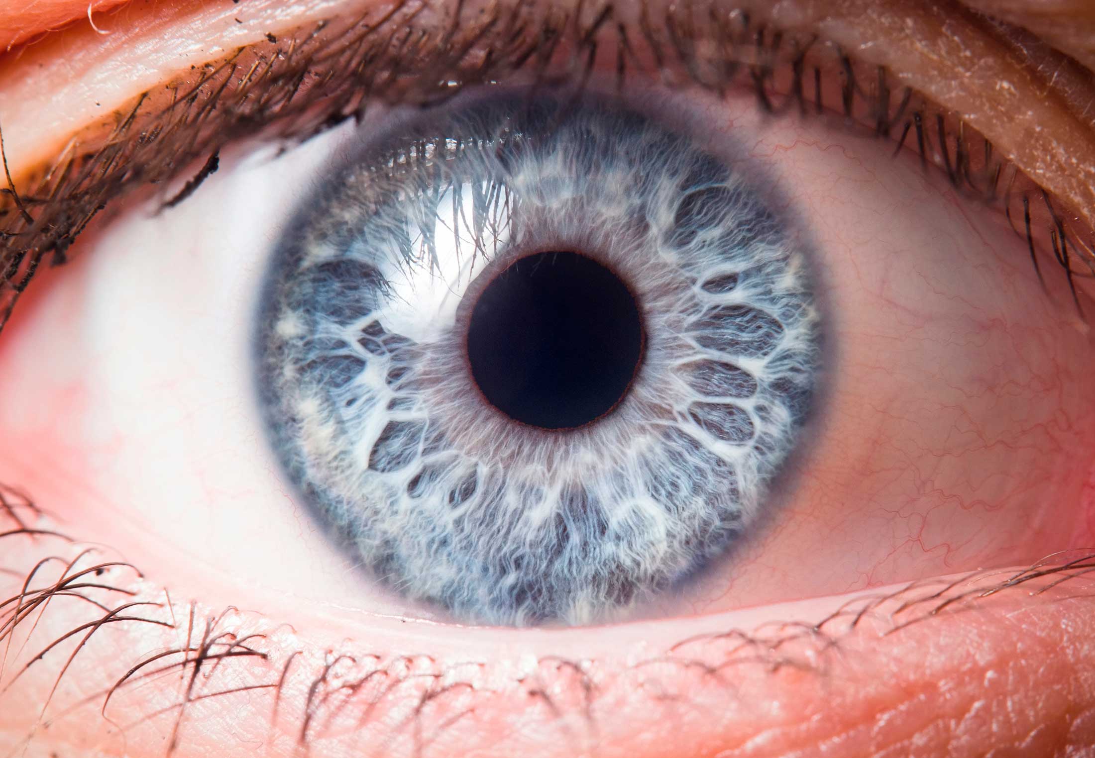 Are blue eyes a genetic mutation? | scienceillustrated.com