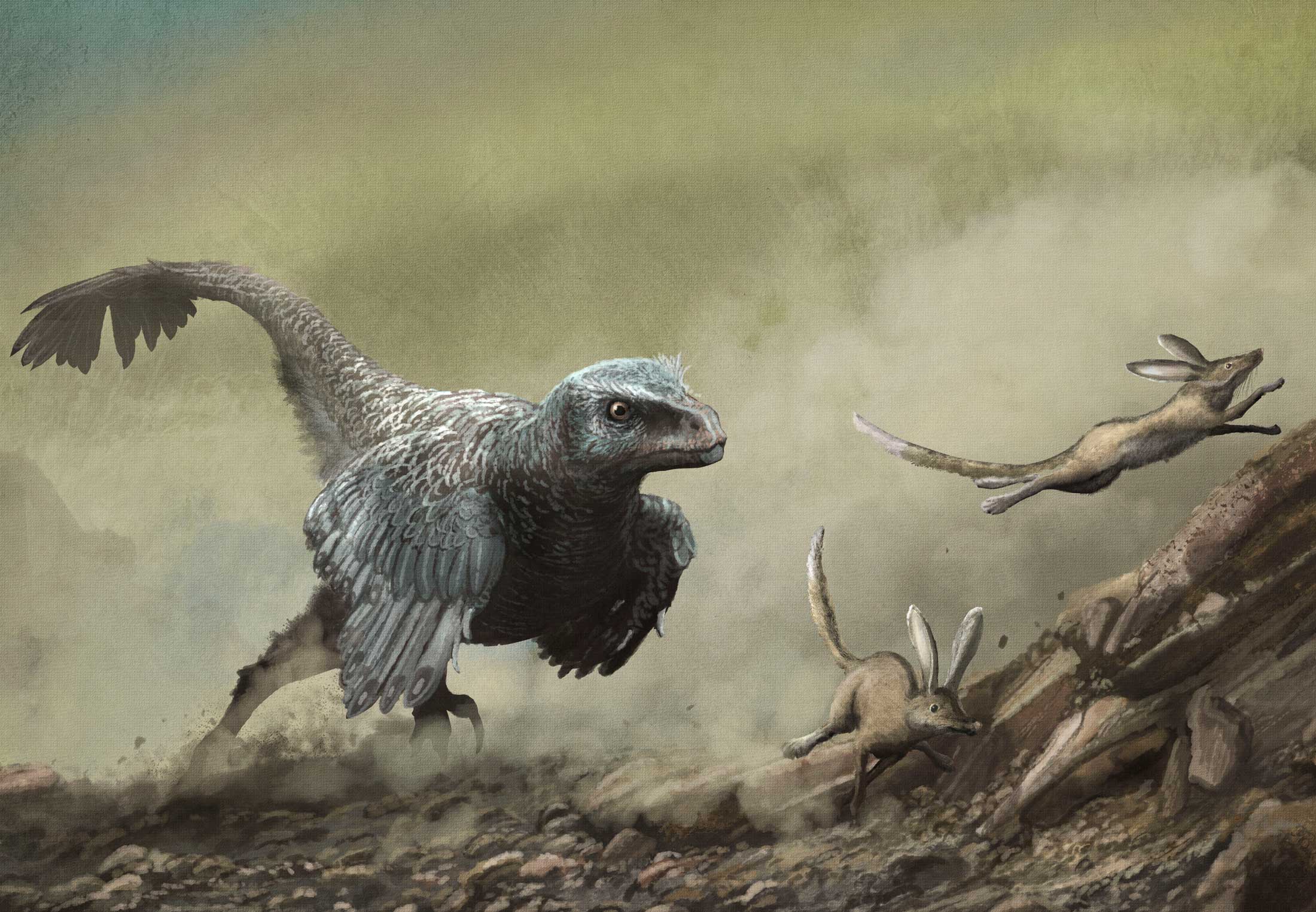 Velociraptor – Lever Jurassic Park-mördaren upp till sitt rykte ...