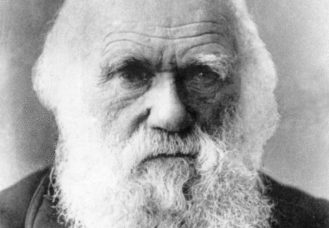 Charles Darwin forandret verden med forskningen sin | illvit.no