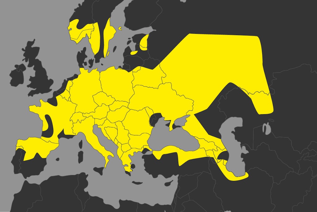 Slanger i Danmark - Mød de danske slanger her | illvid.dk