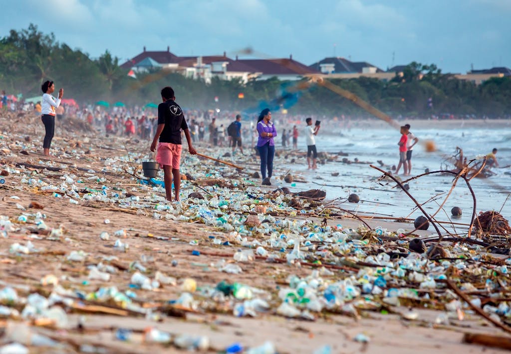 Så minskar du ditt avfall | illvet.se