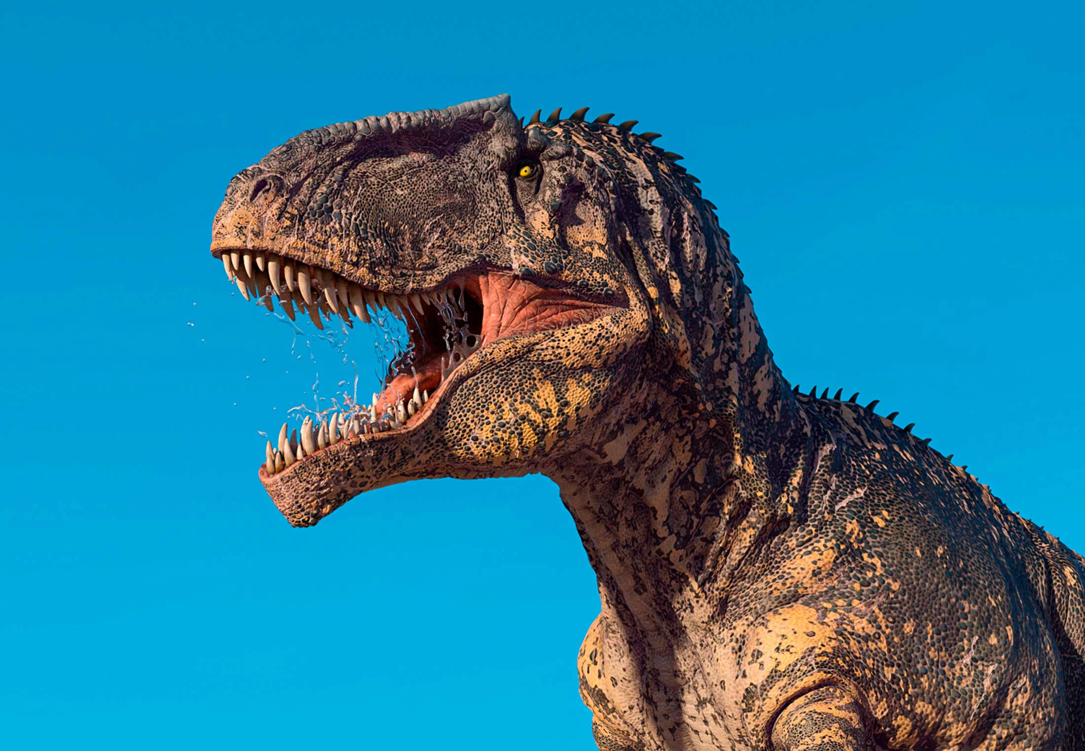 Giganotosaurus var kung före T. rex | illvet.se