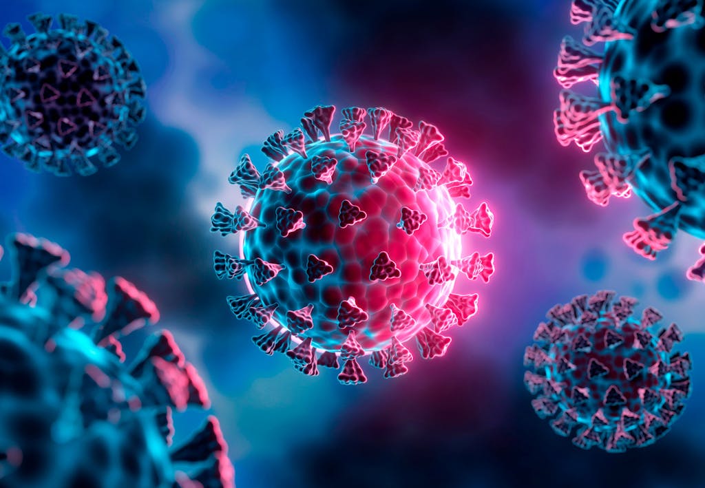 Överläkare: Därför smittar apkoppor plötsligt människor | illvet.se