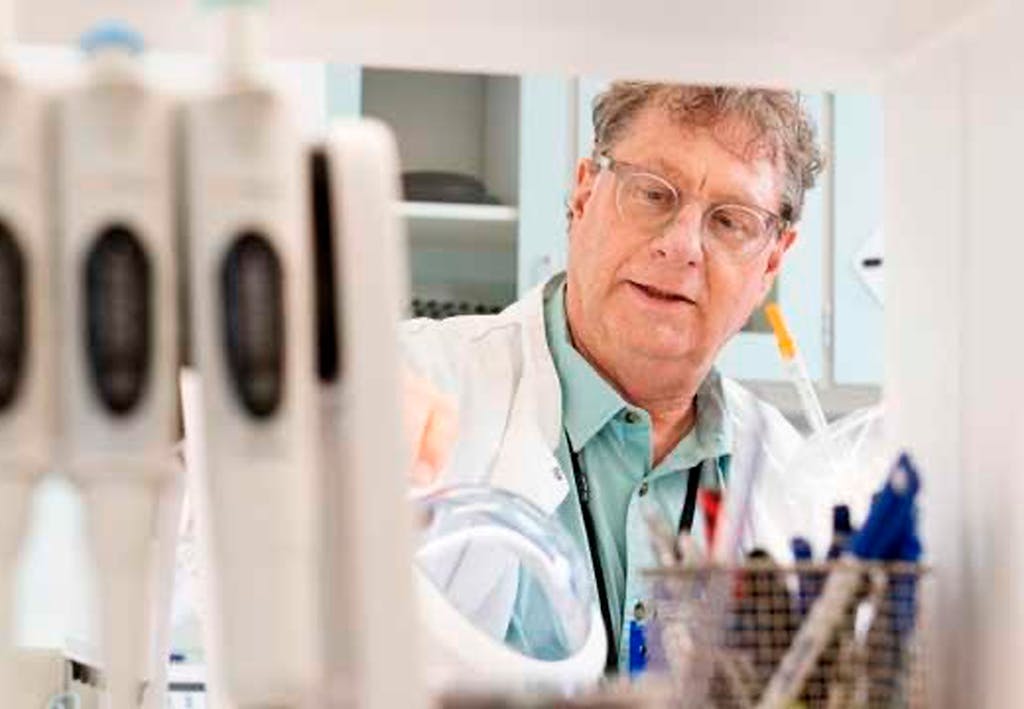 Overlege: Derfor kan apekopper ha blitt mer smittsomt | illvit.no