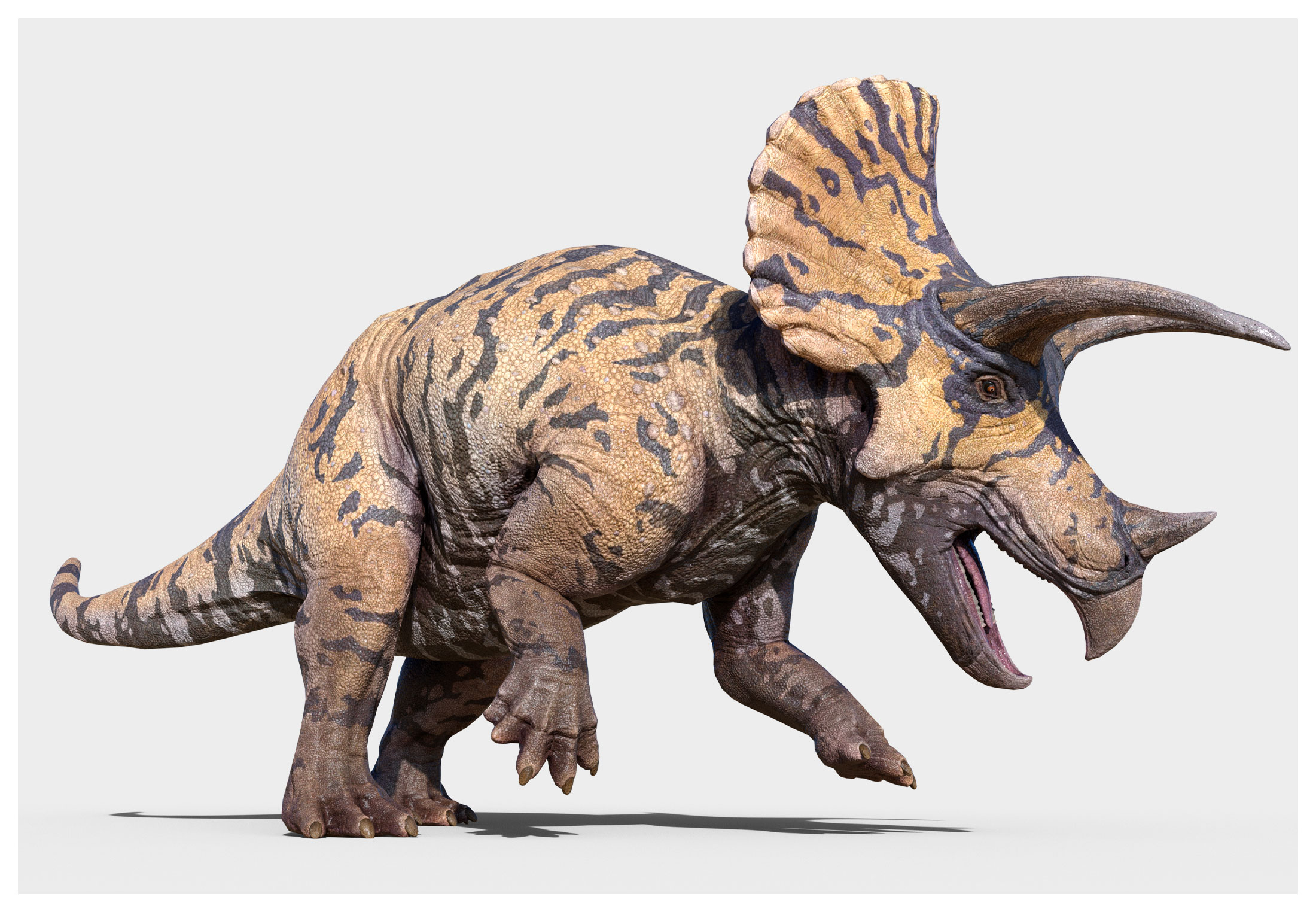 Hvor store byttedyr kunne T. rex nedlegge? | illvit.no