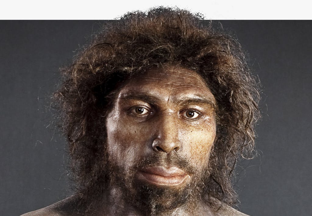 Guide till våra förfäder: Så uppstod människan | illvet.se
