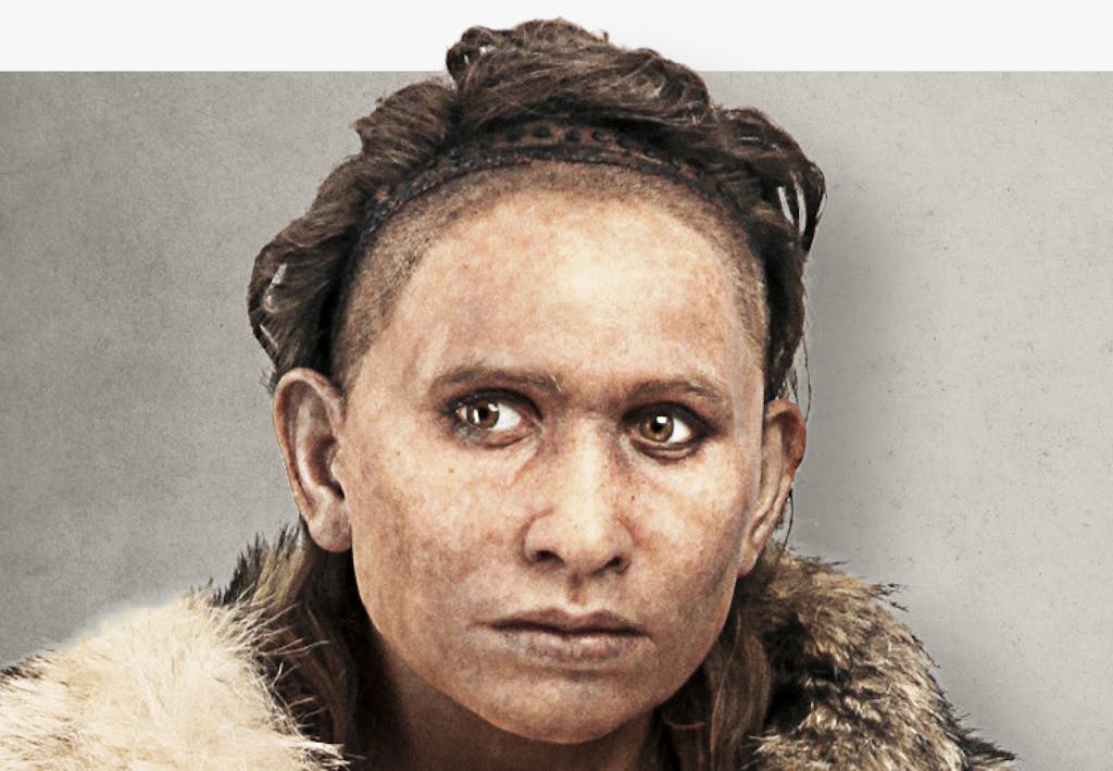 Guide till våra förfäder: Så uppstod människan | illvet.se