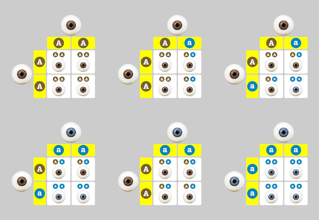 Ögonfärg - Vad avgör ditt barns ögonfärg? | illvet.se