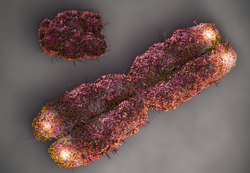 Genombrott: Människans sista dna har kartlagts | illvet.se