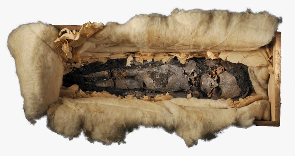 Toetanchamons tombe geeft details over zijn leven prijs | wibnet.nl