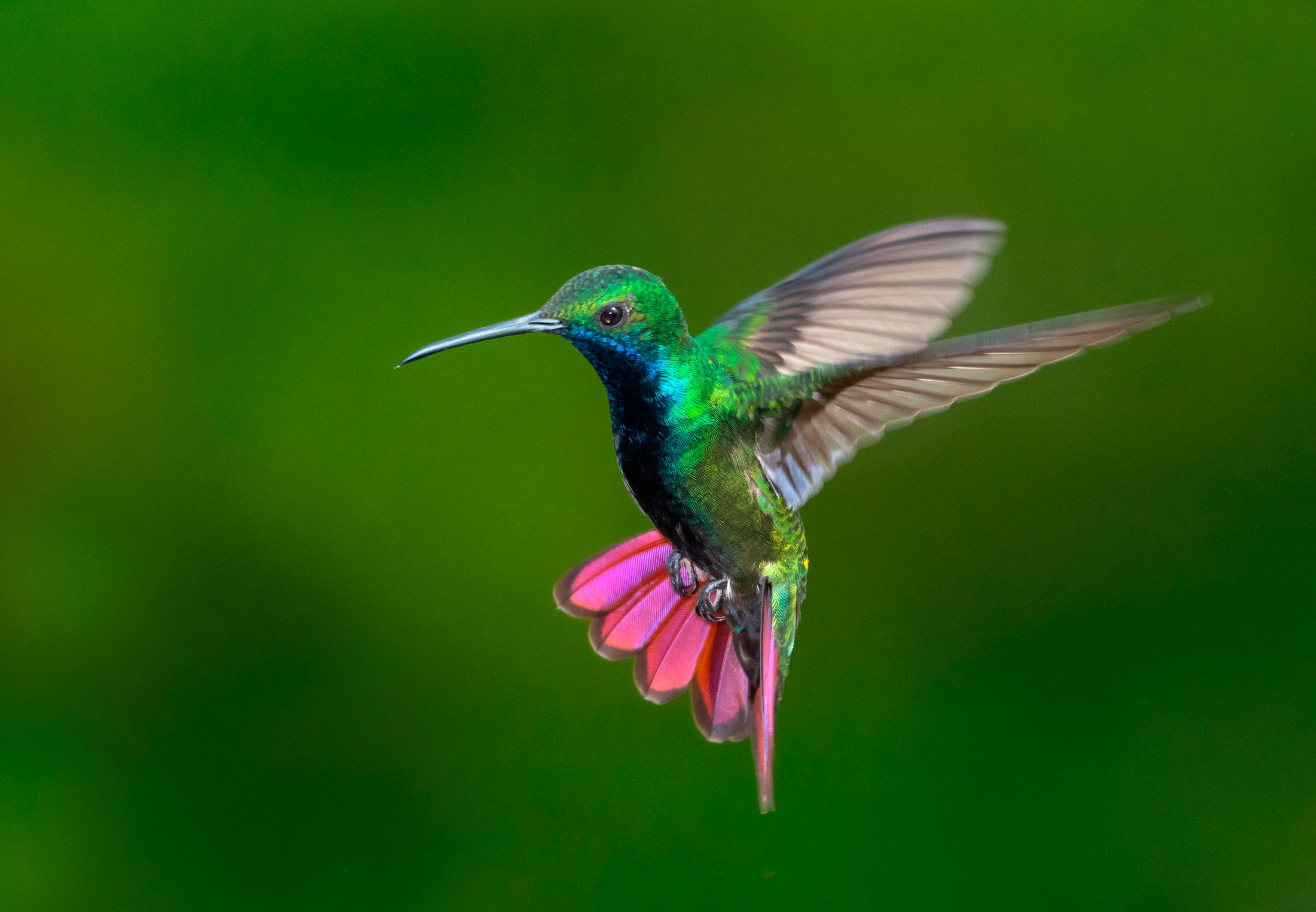 Dit zijn de acht langste rivieren op aarde | wibnet.nl