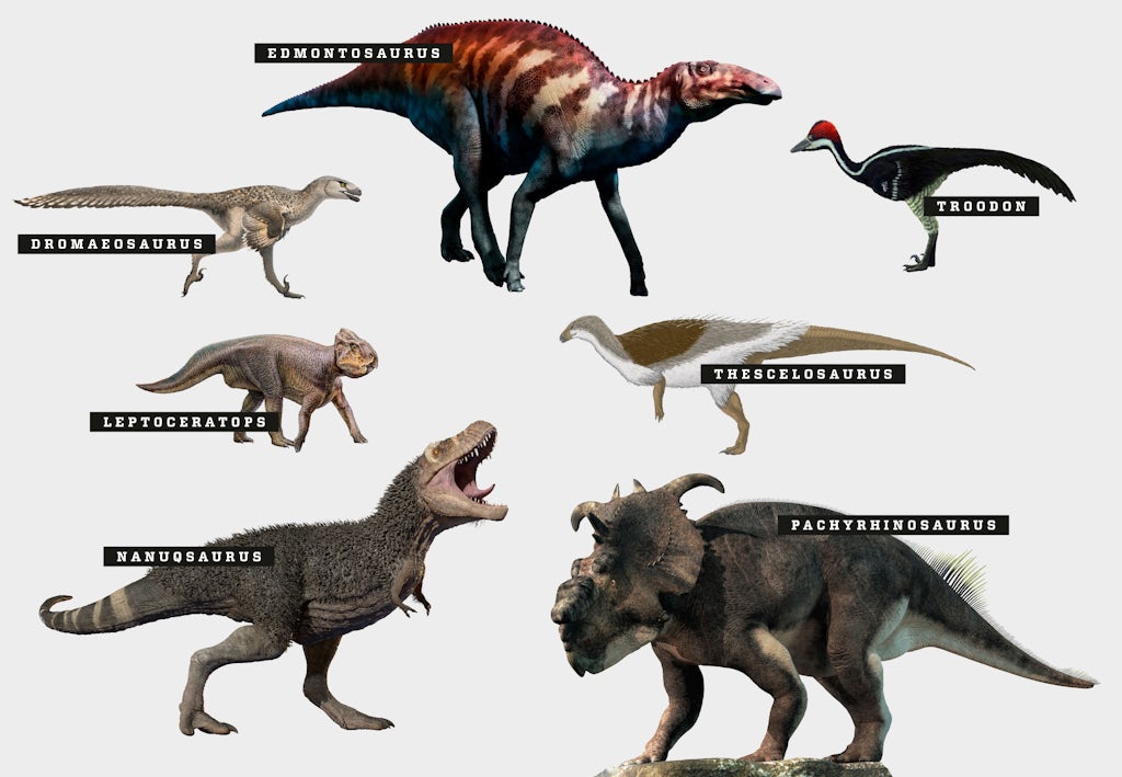 Nyt fund: Dinosaurerne erobrede Nordpolen | illvid.dk