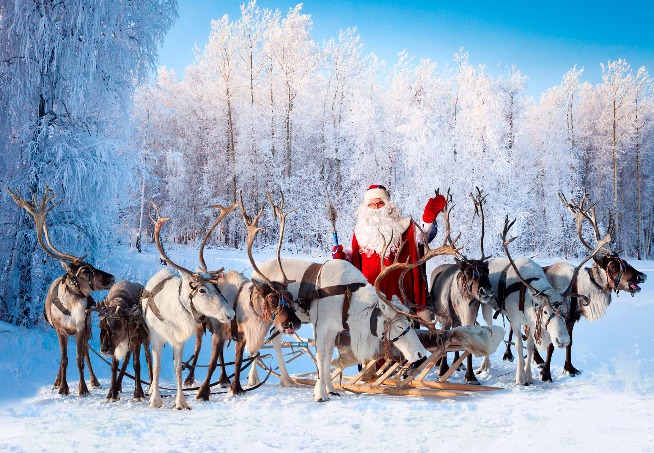 Hur många hästkrafter har tomtens renar? | illvet.se