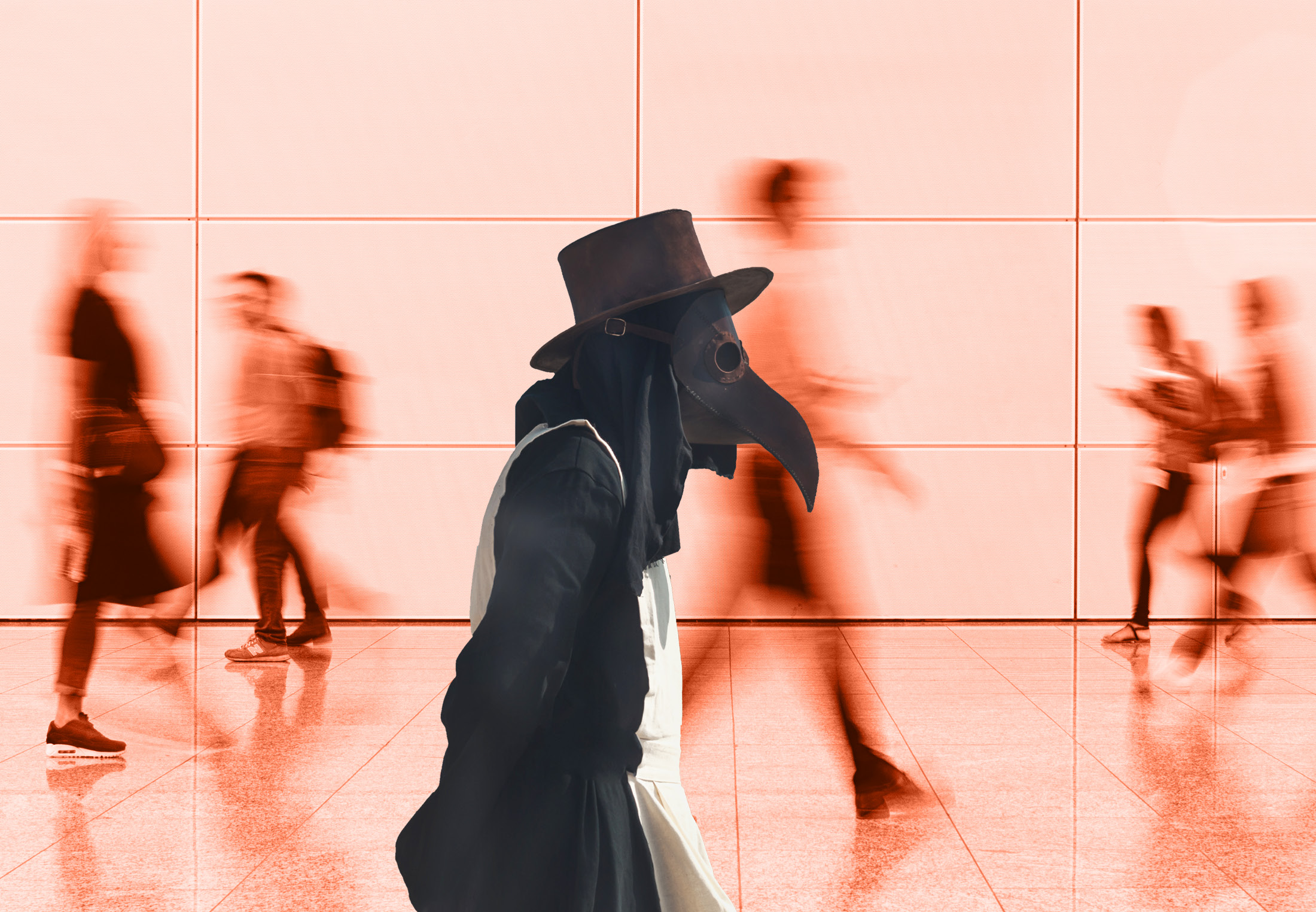 Svartedauden vender tilbake | illvit.no