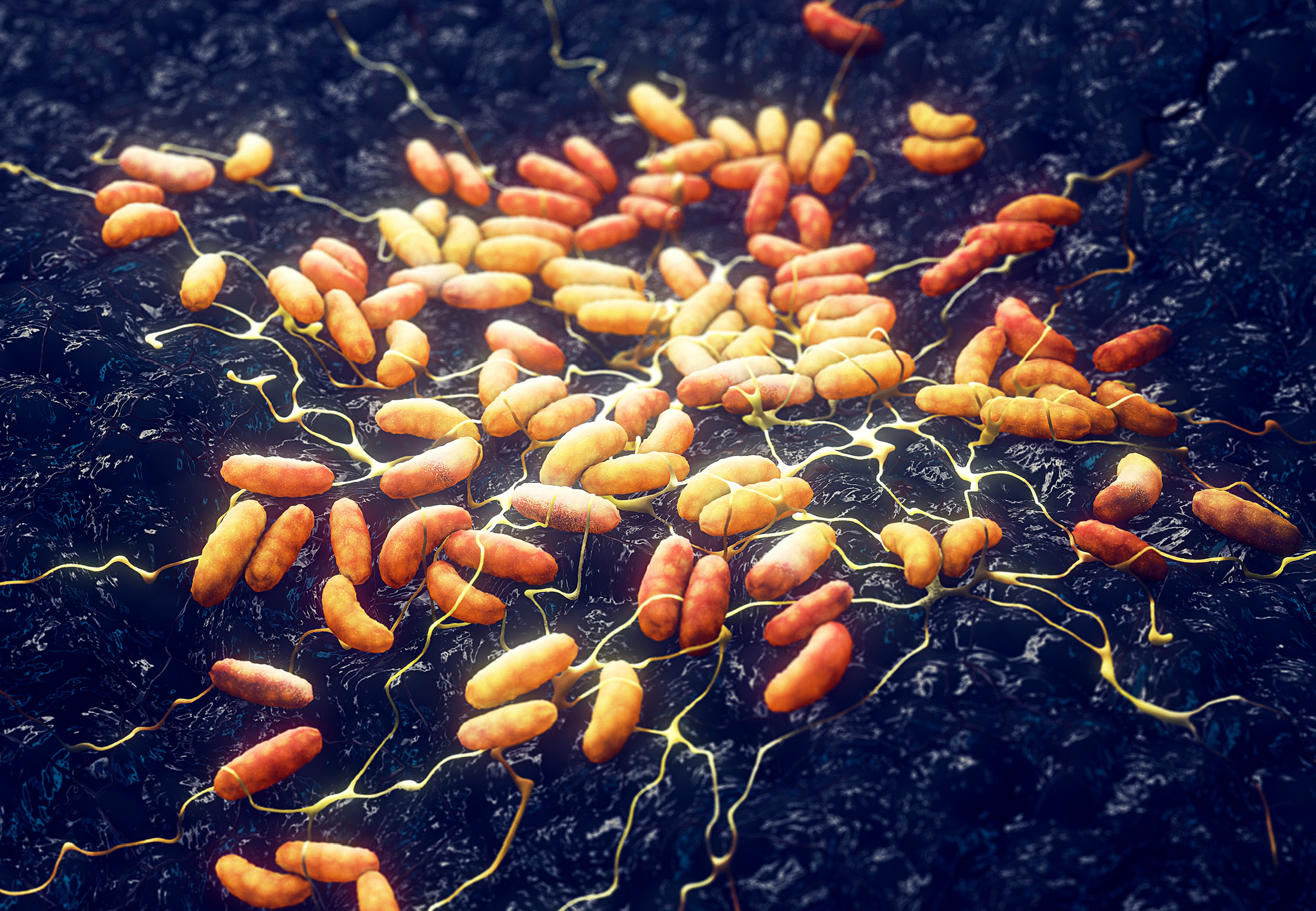 Musta surma tekee paluuta | tieku.fi