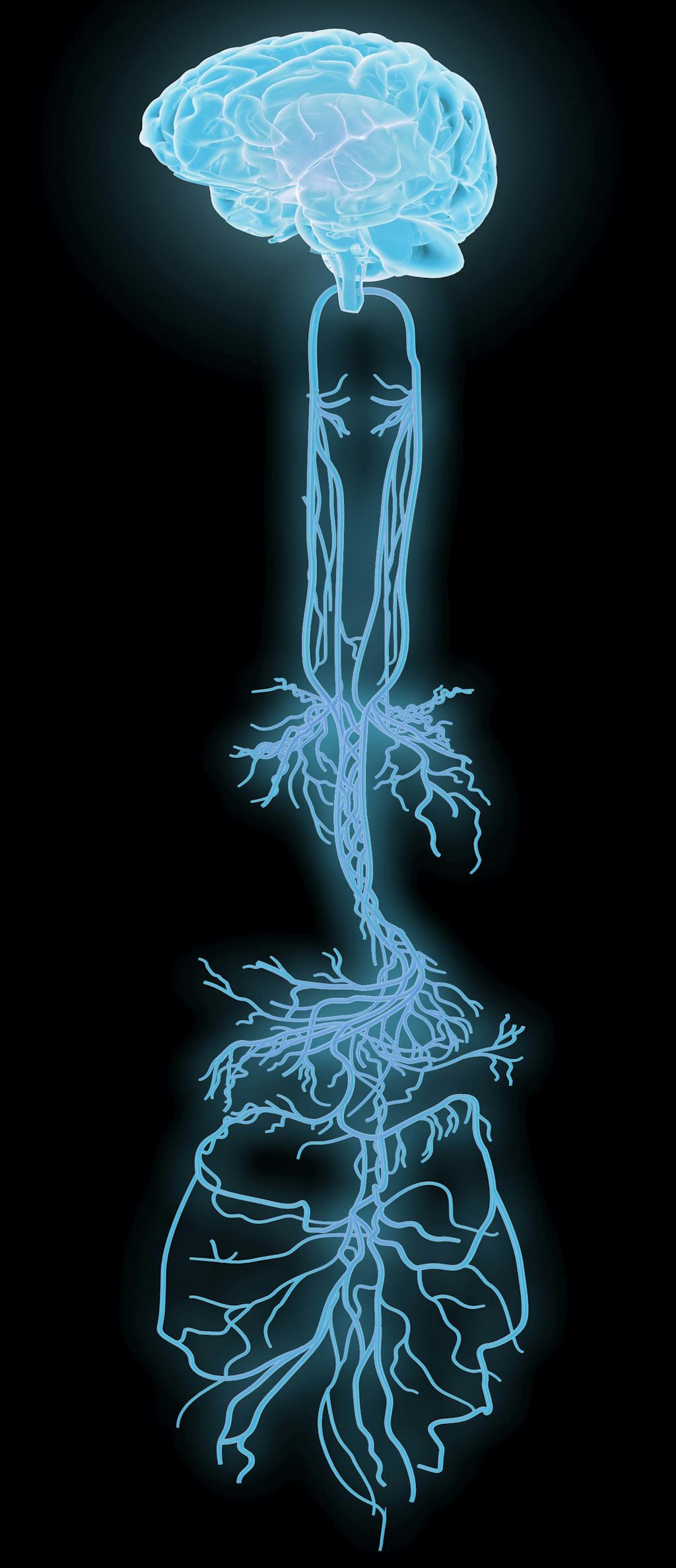 Stress eats your body from within | scienceillustrated.com