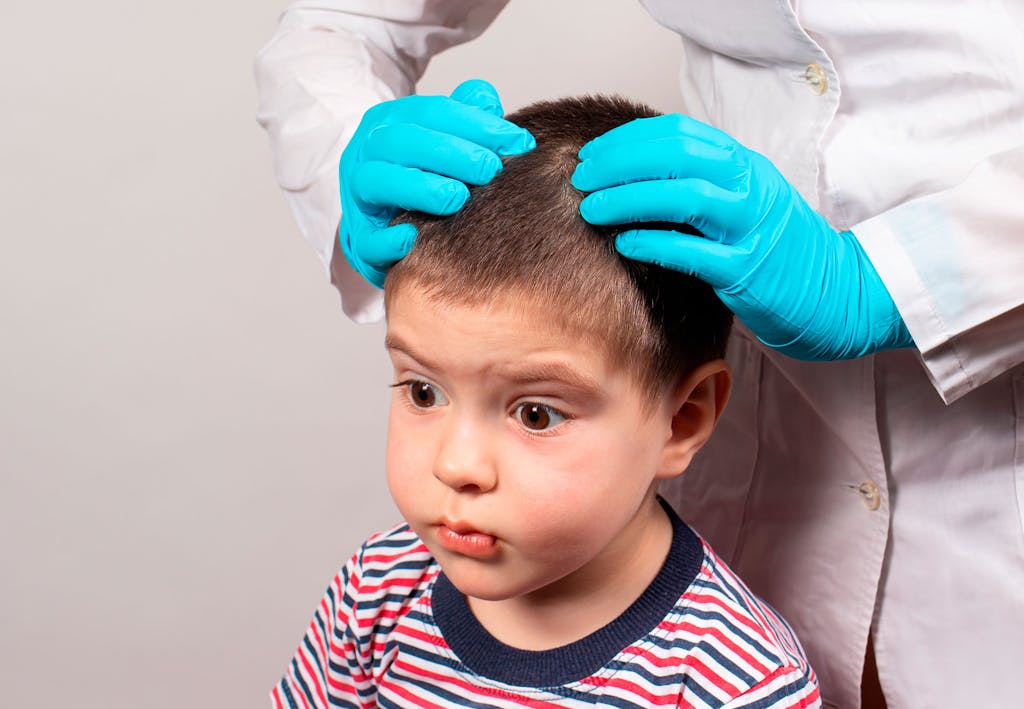 Lusen har drukket af os i 25 millioner år | illvid.dk